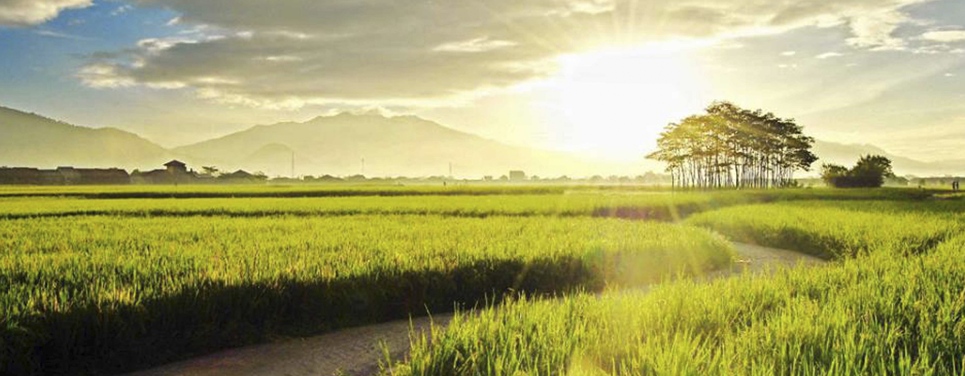 PT. NEAS | Irrigation Company